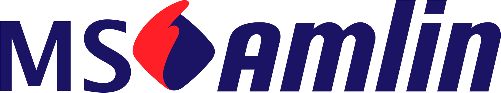 Providing 24/7 support services to travelers worldwide - Robin Assist